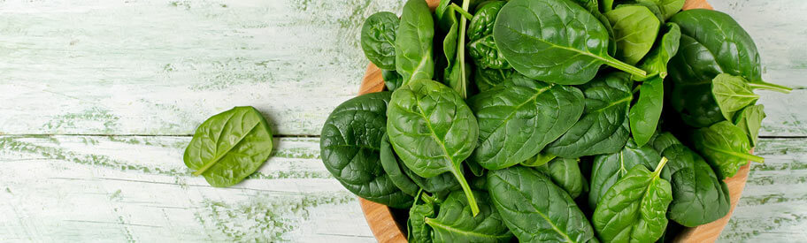 Wat is ijzertekort? Vul je ijzer aan met deze tips! - A.Vogel Blog