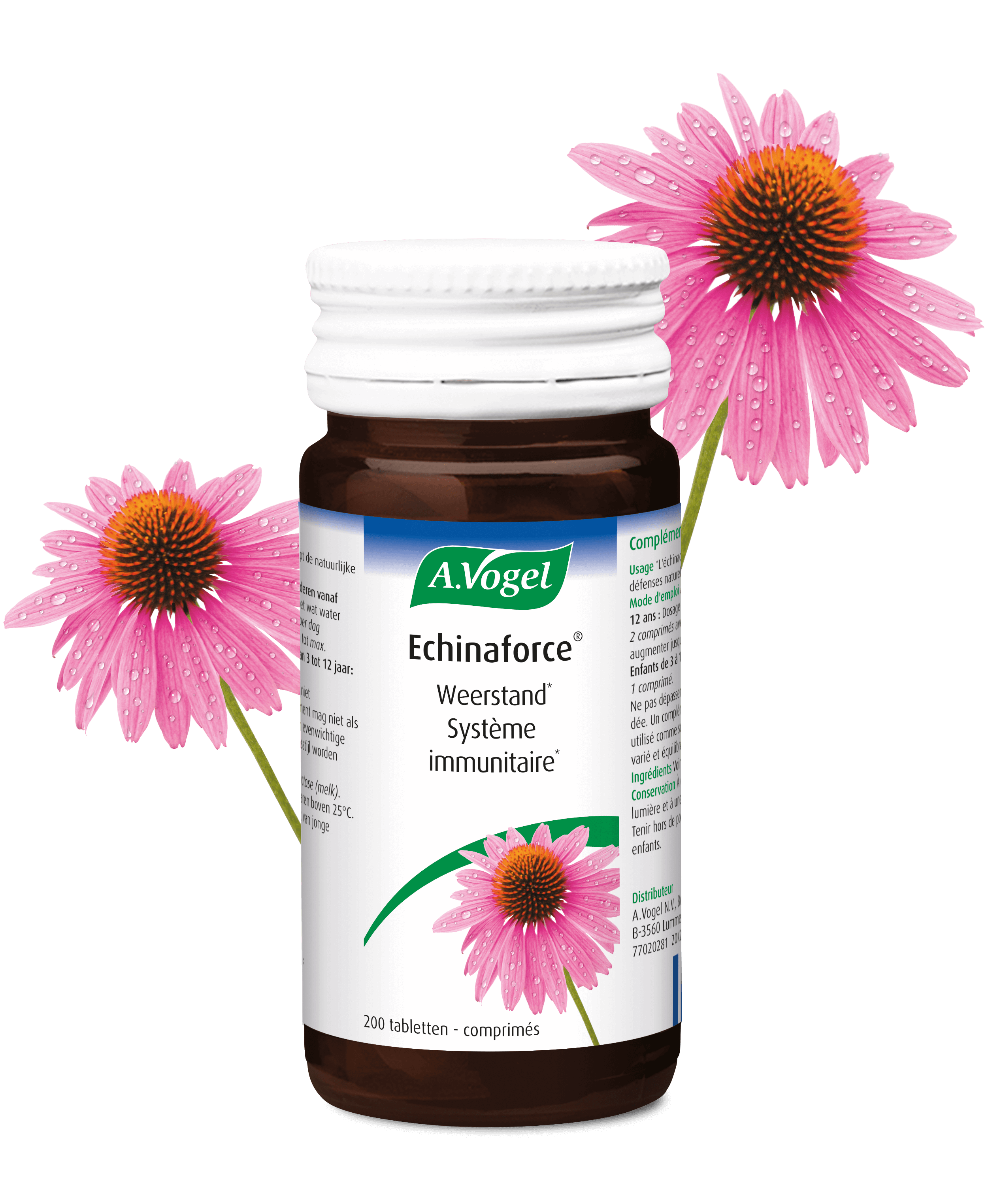 Echinaforce 200 tabletten - Helpt de natuurlijke weerstand te ...