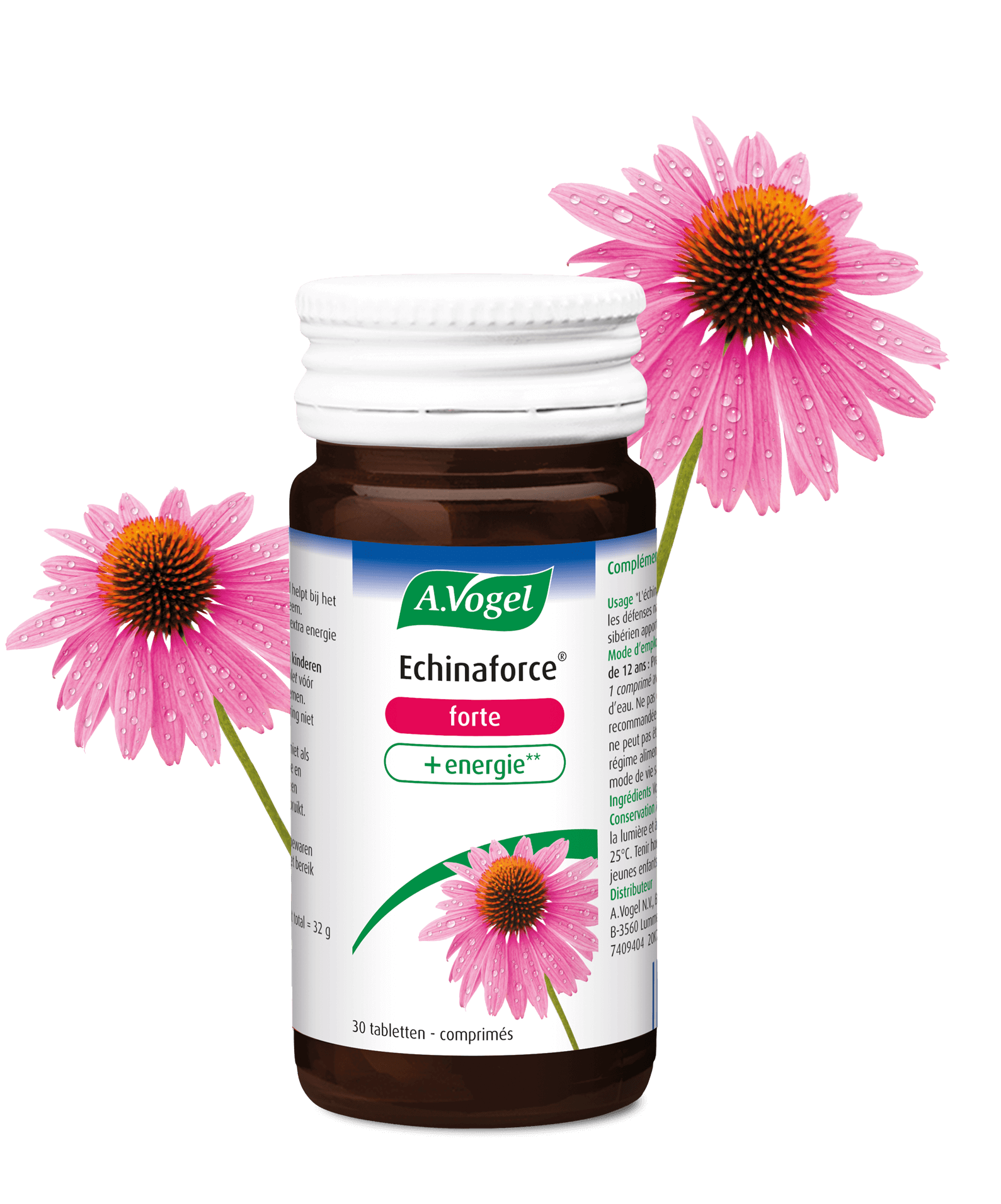 Echinaforce forte + Énergie - Pour plus d'énergie et de vitalité | Les ...